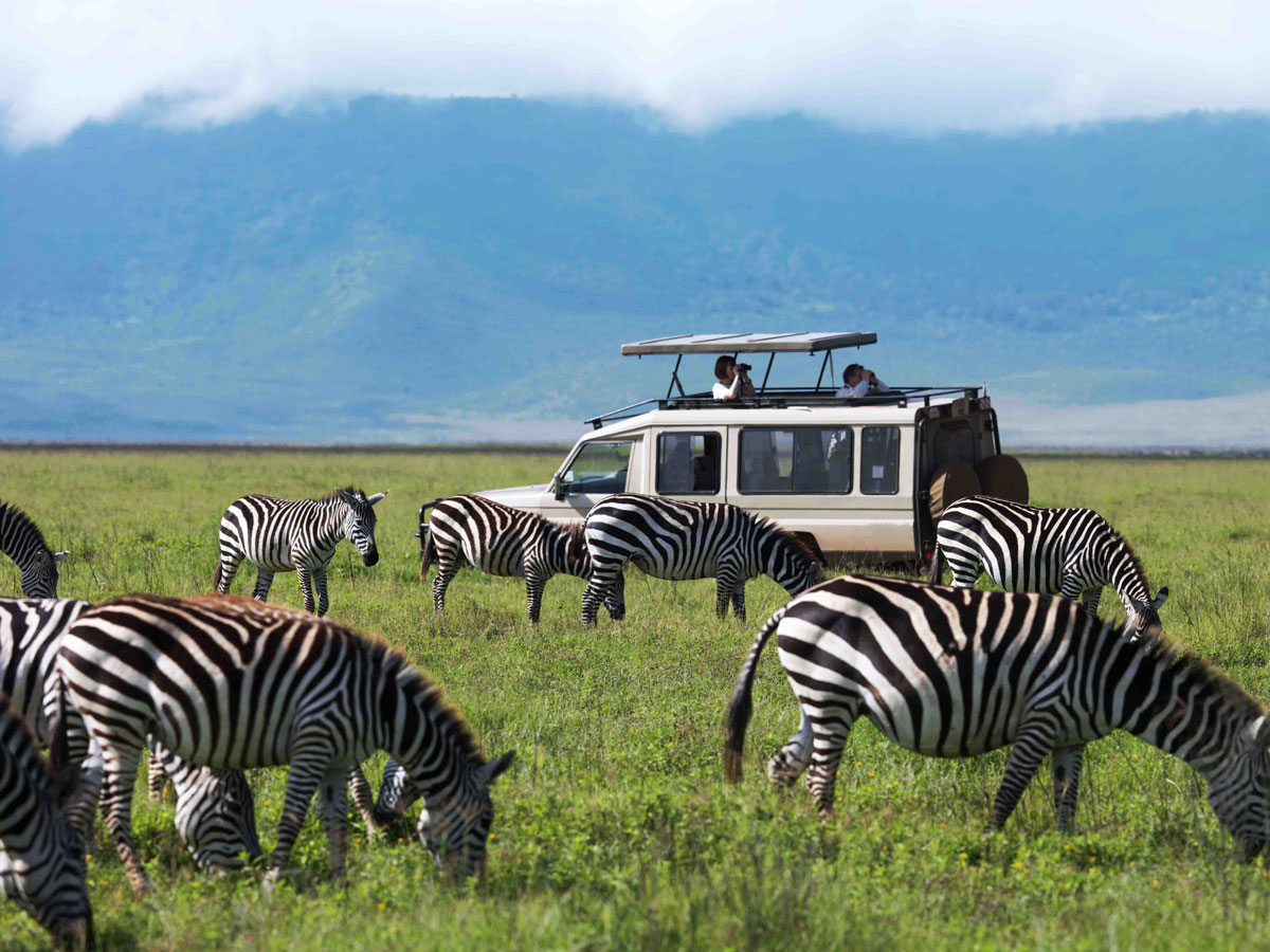 Ngorongoro Crater – Africa In Action